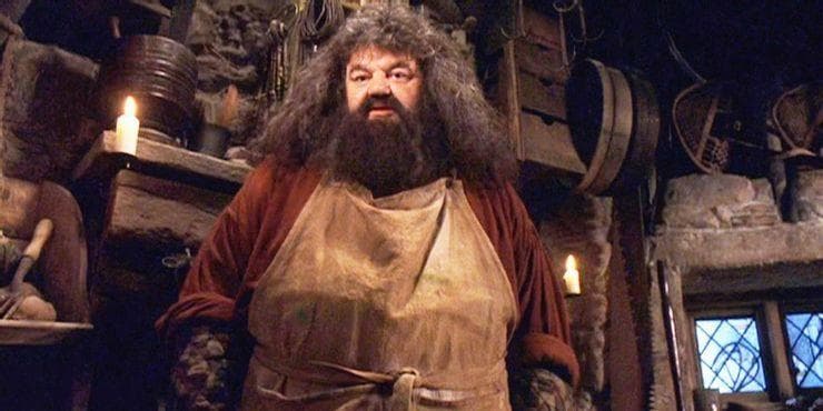 Things You Probably Didn't Know About Hagrid