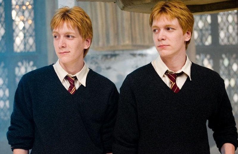 Things You Didn't Know About Fred And George Weasley