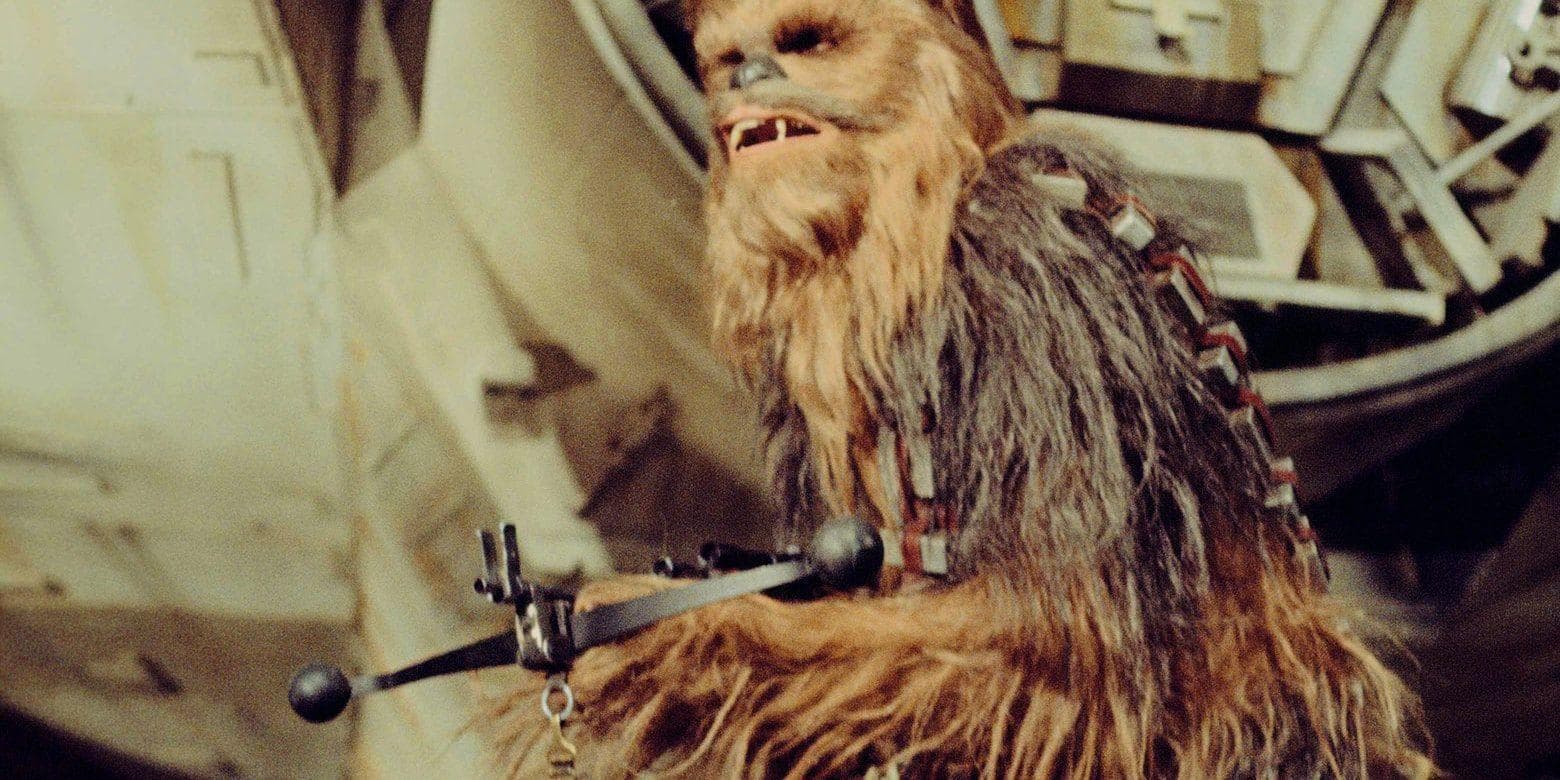 Things You Didn't Know About Wookiees & Kashyyyk
