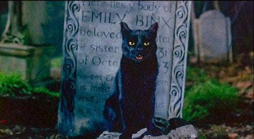 Behind-The-Scenes Stories From 'Hocus Pocus'