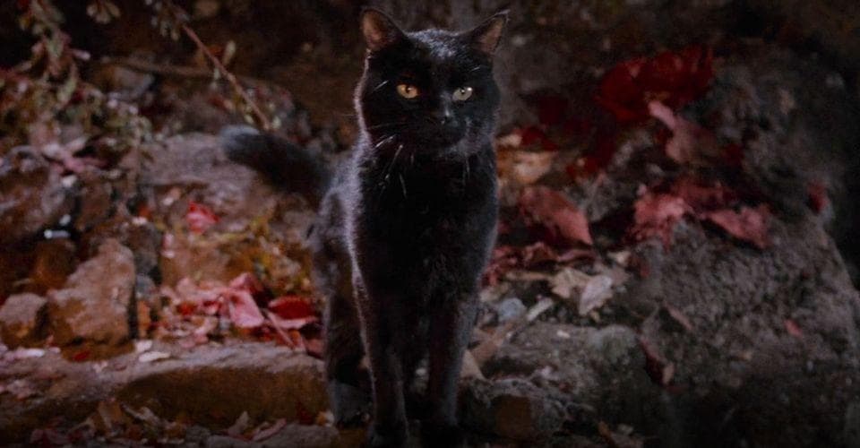 Behind-The-Scenes Stories From 'Hocus Pocus'