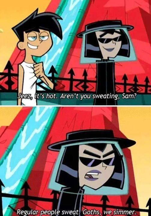 20 Funny Comebacks From 'Danny Phantom' That Made Us Appreciate The ...