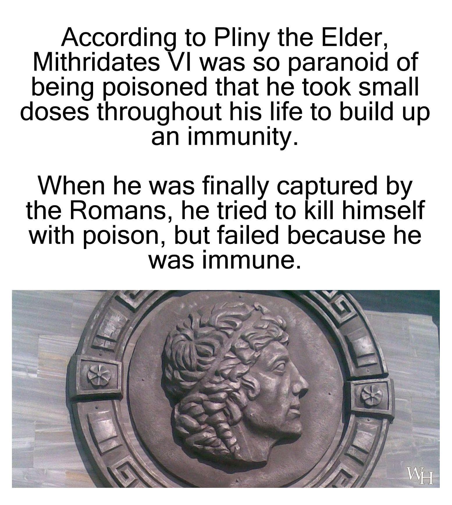 The Best Historical Memes That Had Truly Surprising Information In Them