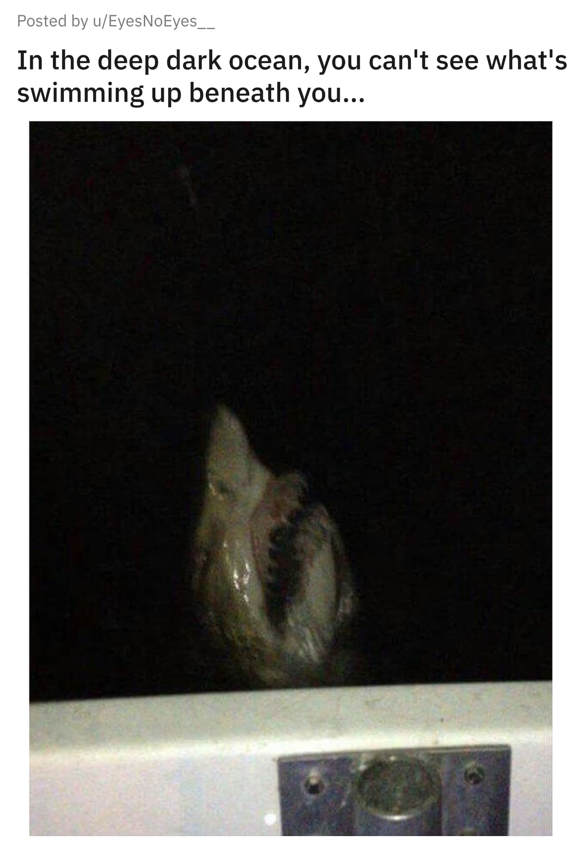 21 Unnerving Photos That Made Us Want To Avoid Deep Water Forever