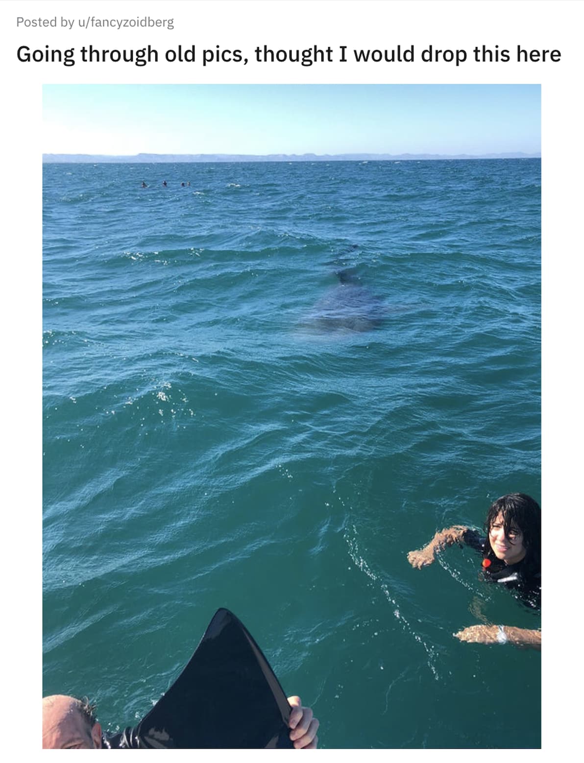 21 Unnerving Photos That Made Us Want To Avoid Deep Water Forever