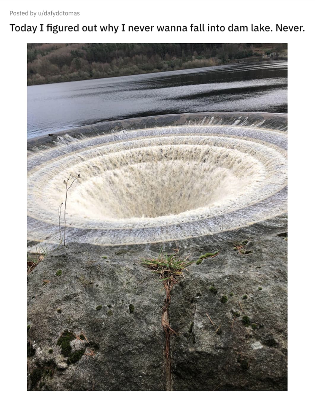 21 Unnerving Photos That Made Us Want To Avoid Deep Water Forever