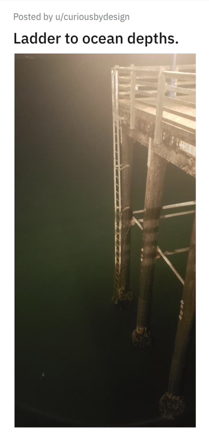 21 Unnerving Photos That Made Us Want To Avoid Deep Water Forever