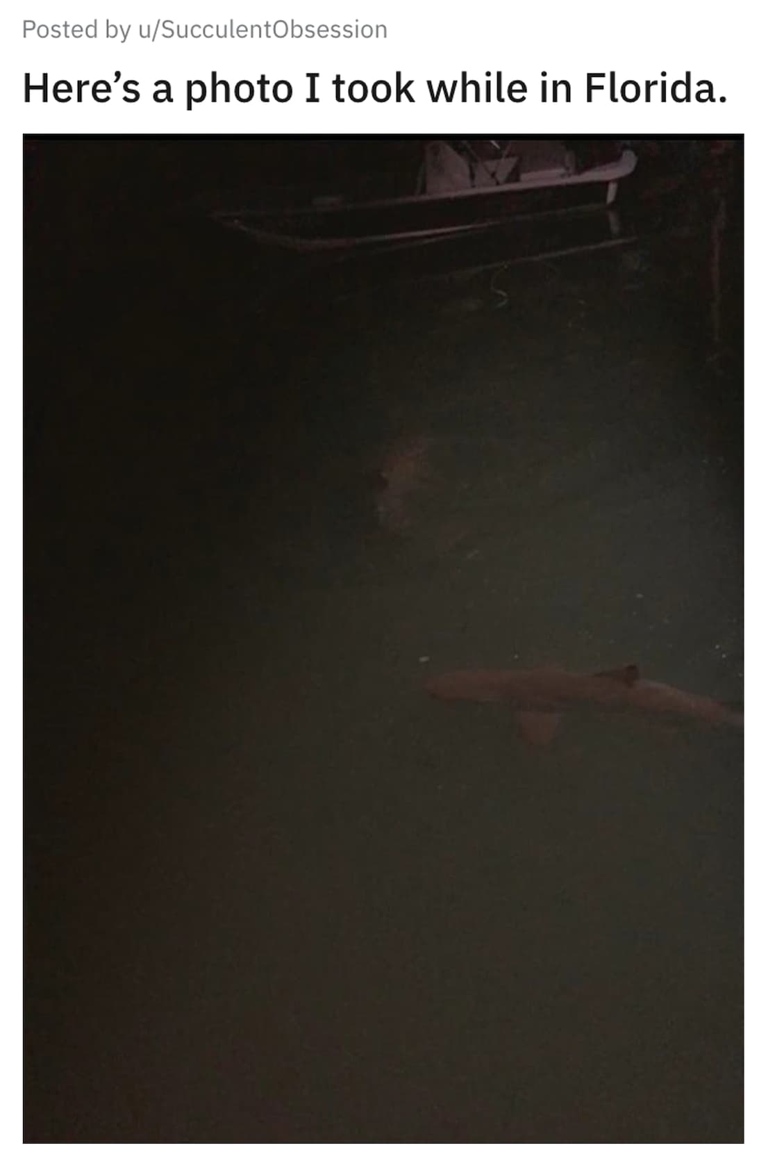 21 Unnerving Photos That Made Us Want To Avoid Deep Water Forever