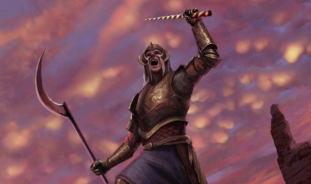 12 Things You Probably Didn't Know About Elves In 'The Witcher'