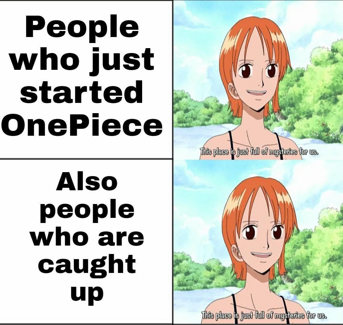16 Funny 'One Piece' Memes We Saw This Month That Are Actually Pretty Good