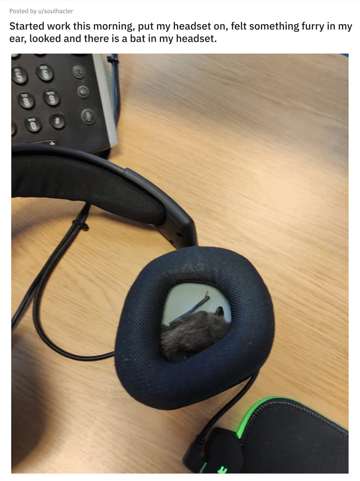 23 Strange Photos That We Can't Get Out Of Our Heads