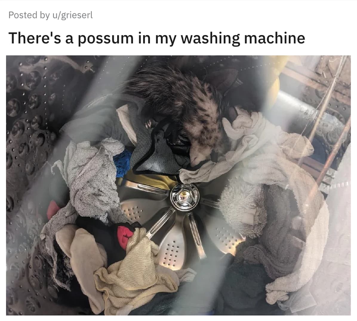 23 Strange Photos That We Can't Get Out Of Our Heads