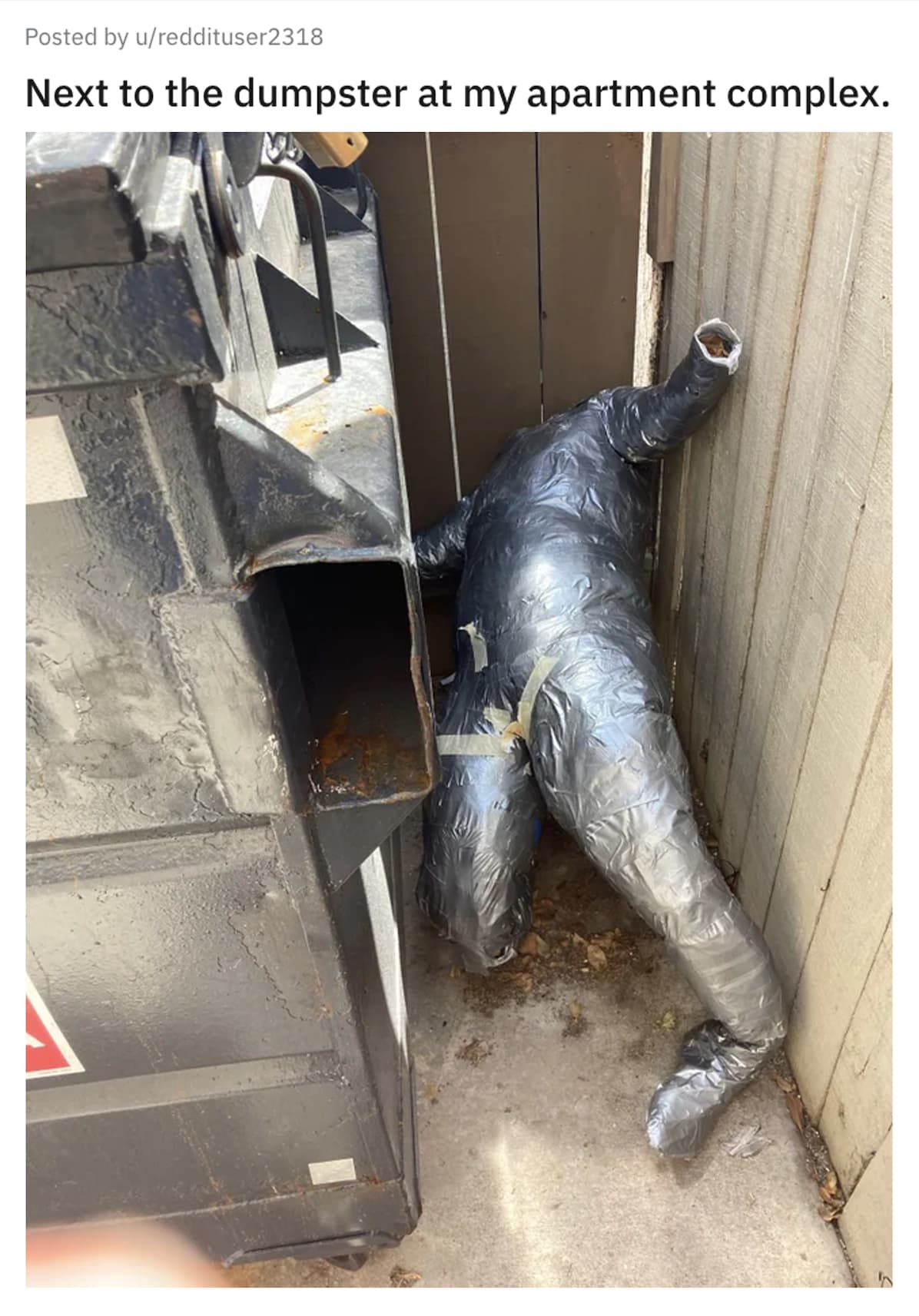 23 Strange Photos That We Can't Get Out Of Our Heads