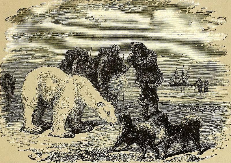 Fascinating Facts That Made Us Want To Know More