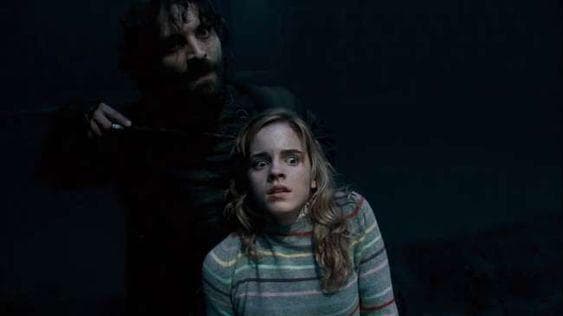 Things You Didn't Know About Hermione If You've Only Seen The Movies