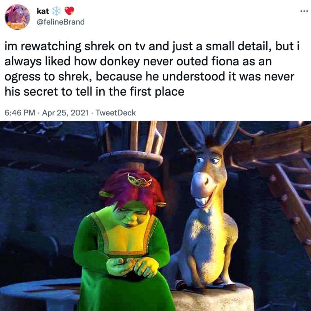 Fans Share Things About Donkey From 'Shrek' We've Never Thought About ...