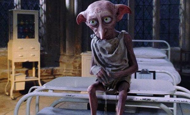 Things You Didn't Know About S.P.E.W.