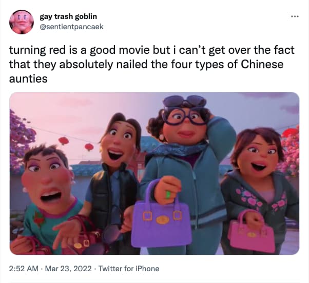 Fans Share Things About The Aunties Of 'Turning Red' We Never Thought ...