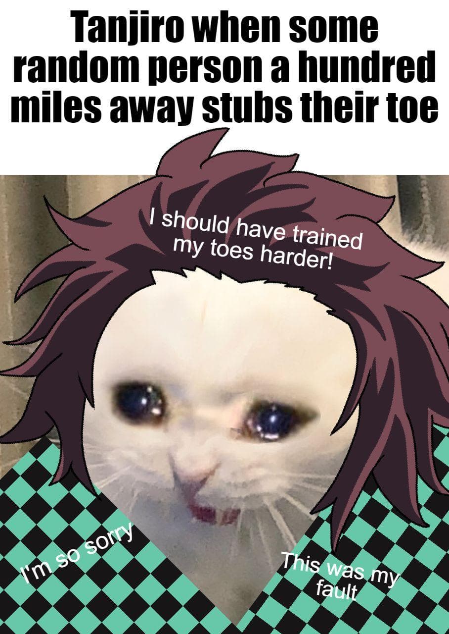 20 Hilarious Memes About Tanjiro From 'Demon Slayer' That Made Us Laugh