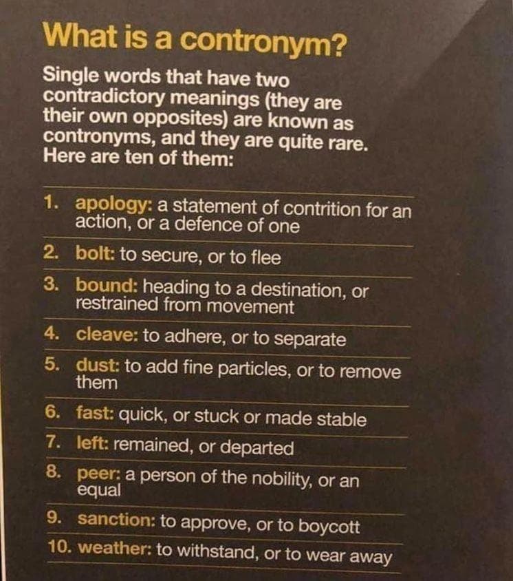 The Best Word Memes We Found That Actually Taught Us Something