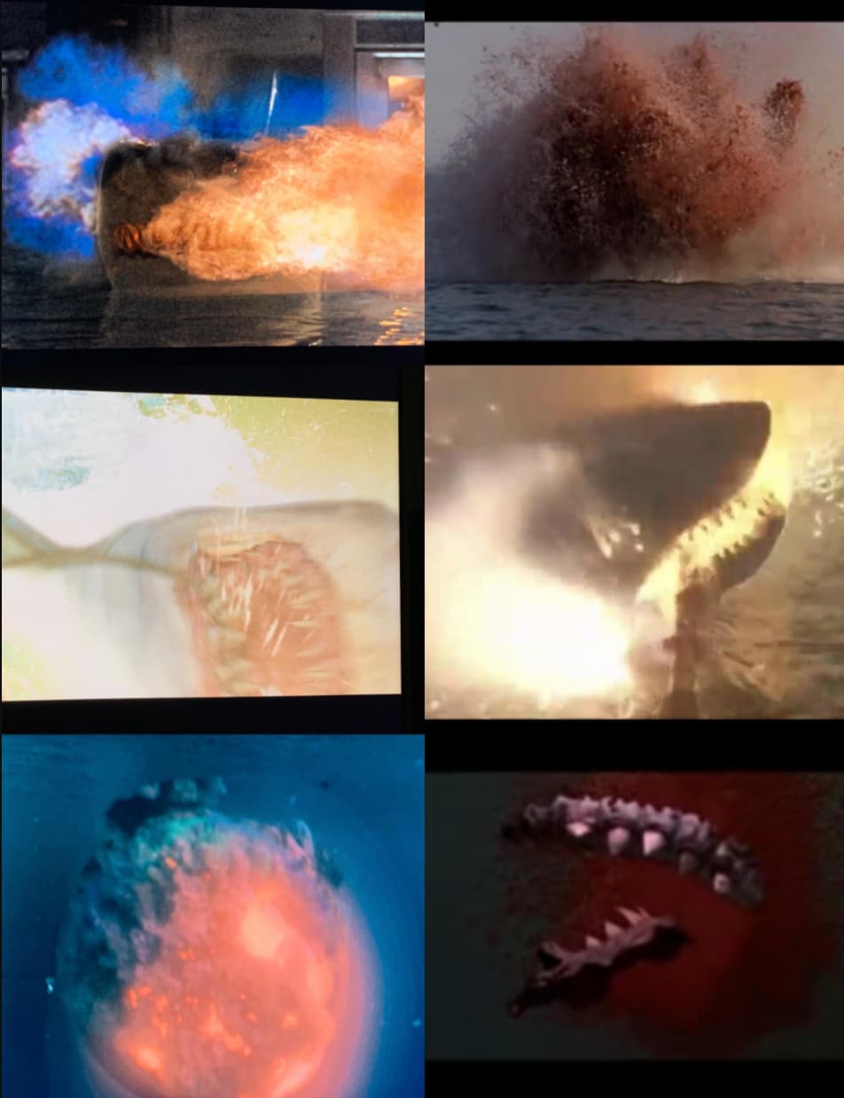 Interesting Details From Shark Movies That Really Bite