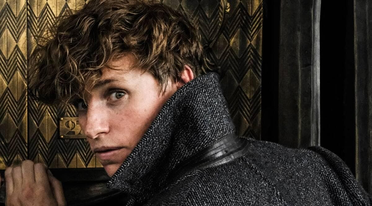 Things You Wouldn't Know About Luna Lovegood If You've Only Seen The ...