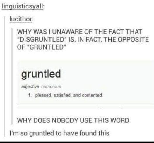The Best Word Memes We Found That Actually Taught Us Something