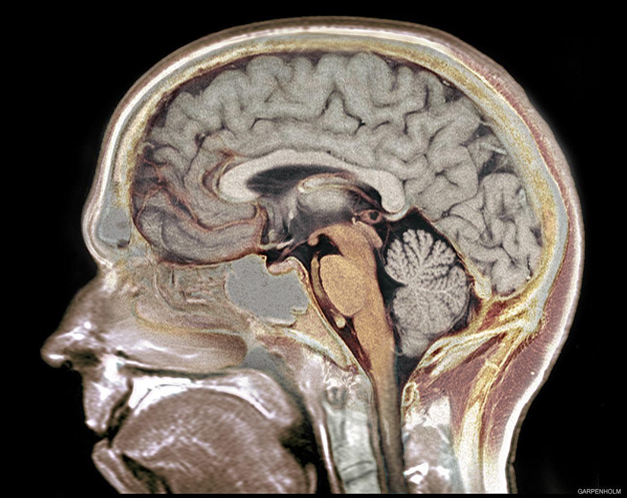 Unsettling Medical Stories Through History