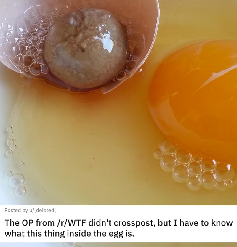 People Are Asking For Help To Identify Strange Objects, And The Answers ...