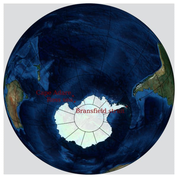 Mysteries From History We Didn’t Realize Actually Had An Answer