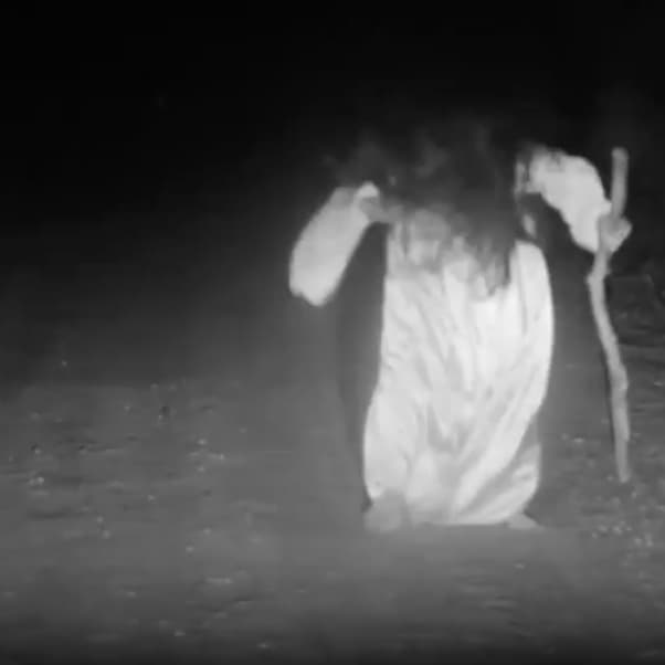 Rank Vs. Rank: Tackling The Scariest Viral Videos Of All Time