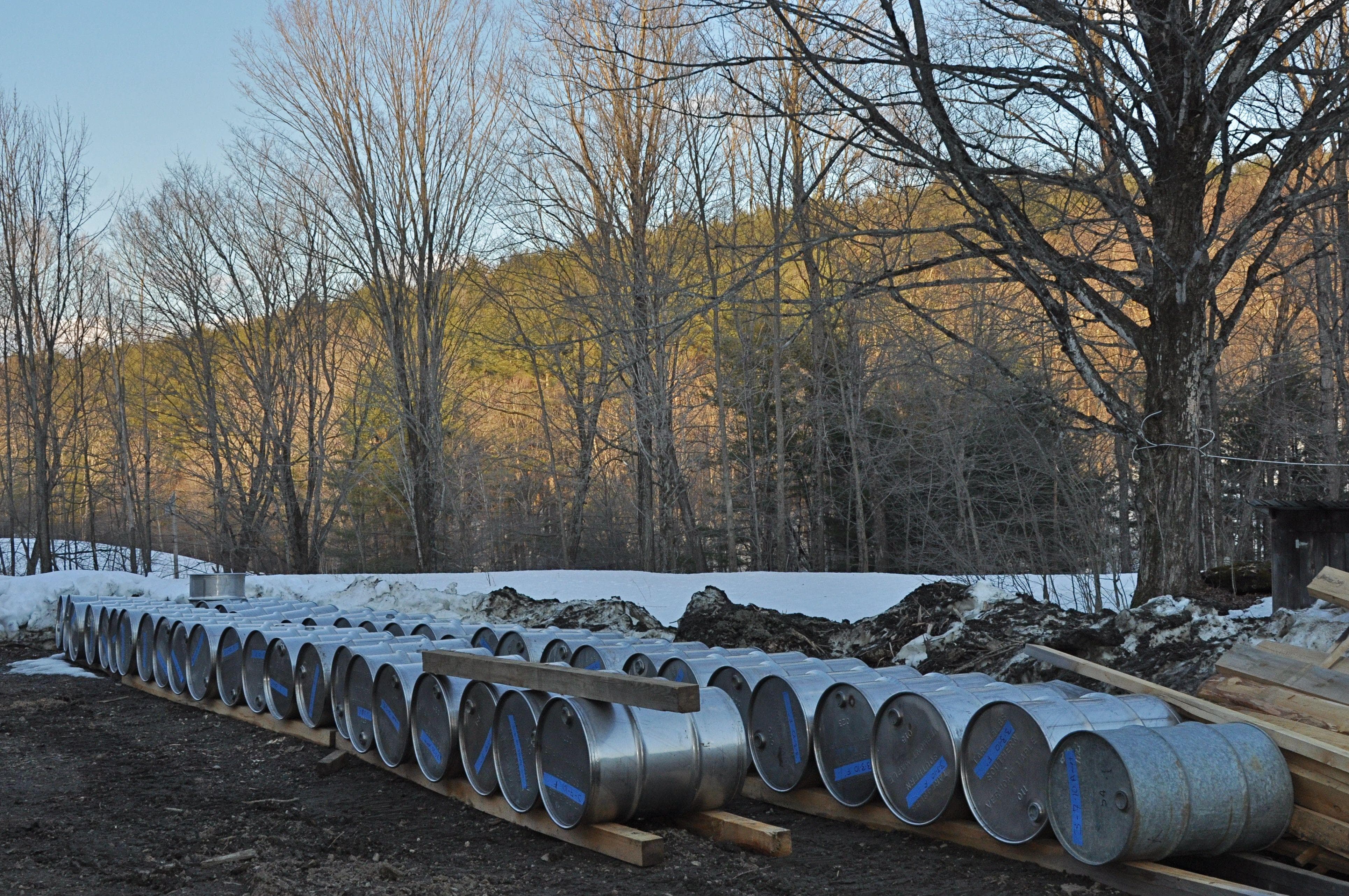 Strange Stories From History We Were Surprised To Finally Learn