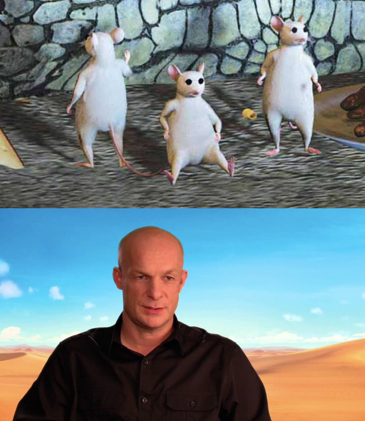 All The Ultra-Famous Voices Behind The Shrek Franchise