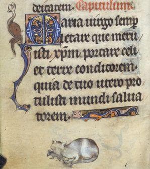The Best Medieval Cat Paintings We Could Dig Up