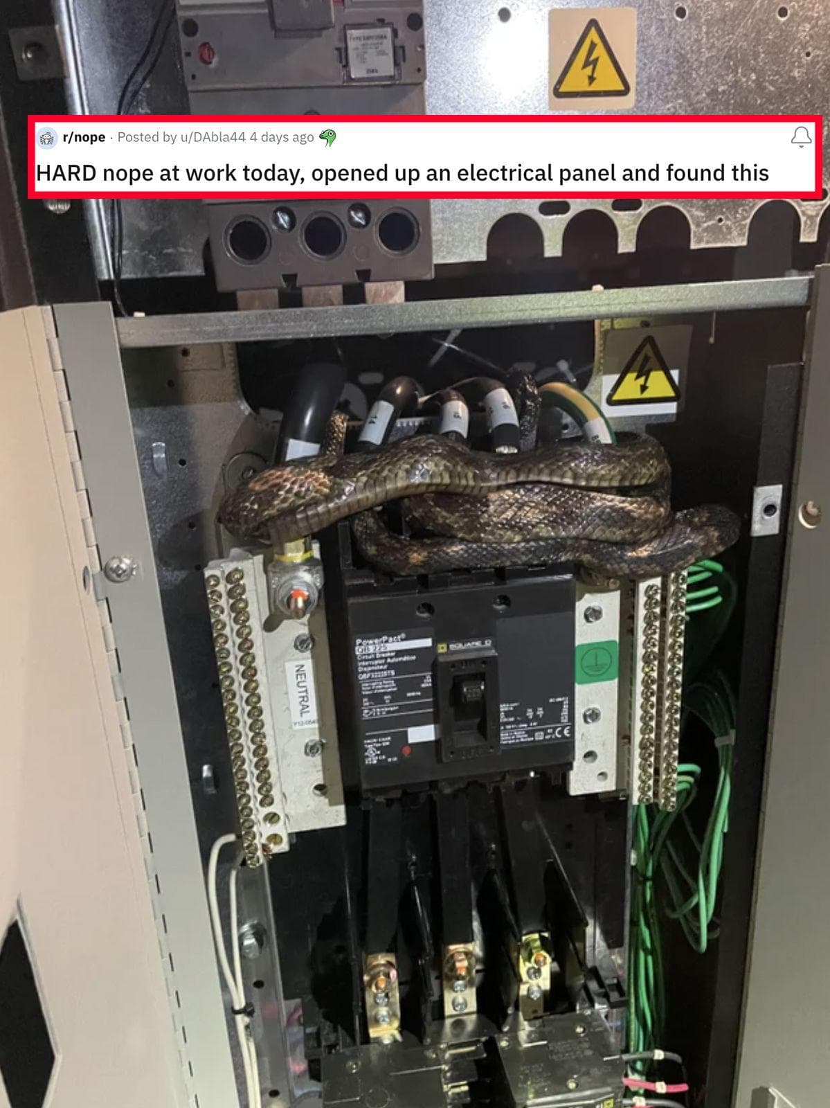 Subtly Horrifying Images That We Can't Get Out Of Our Heads