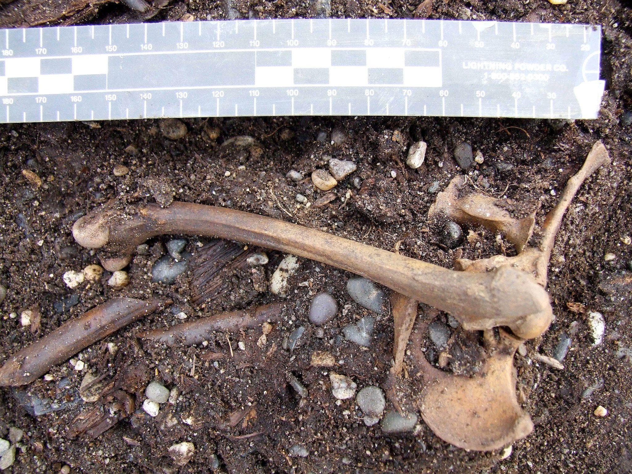 Creepy And Disturbing Mysteries That Sent Shivers Down Our Spines