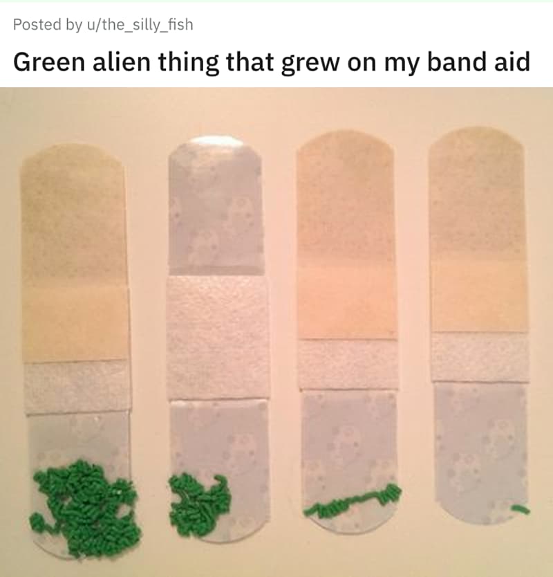 18 Times People Needed Help Identifying Mysterious Objects And Found ...