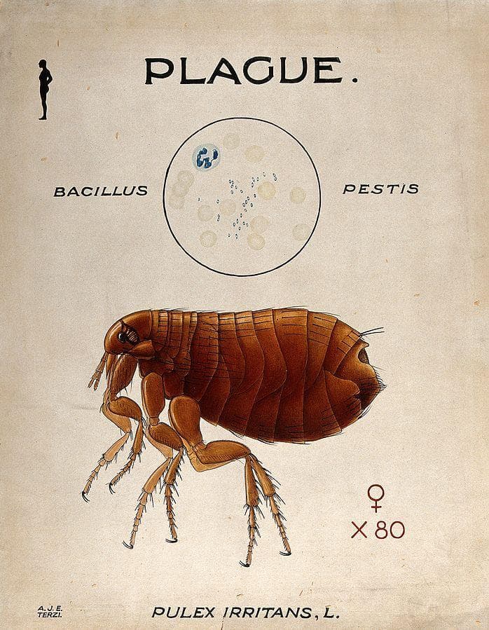 16 Of The Creepiest And Most Disturbing Things We've Learned So Far In 2022