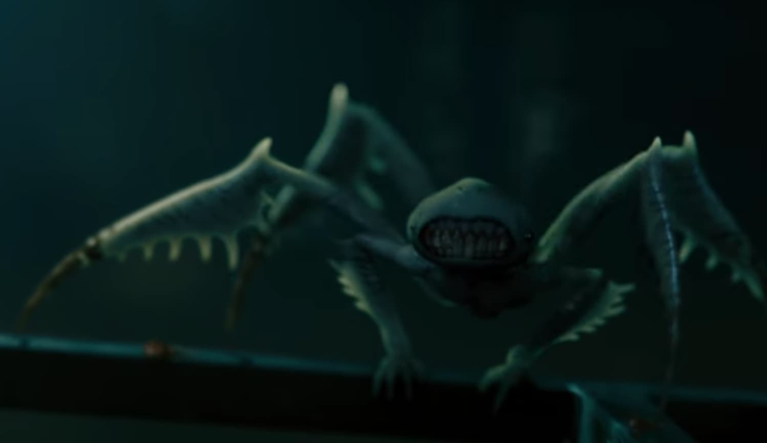 Fun Facts We Never Knew About The Tooth Fairy