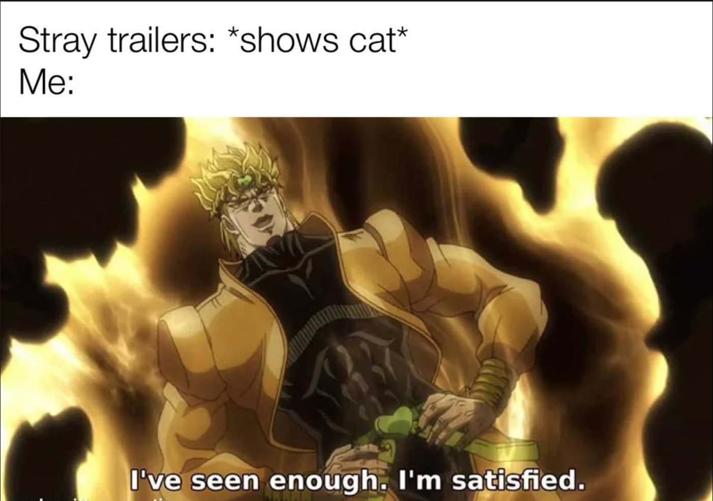 The 26 Funniest 'Stray' Memes Ranked From Best To Worst