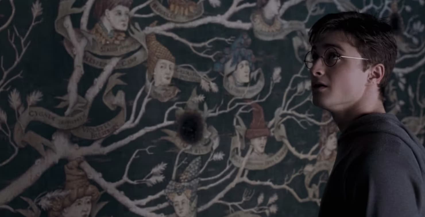 'Harry Potter' Fans Reveal Interesting Theories About Sirius Black