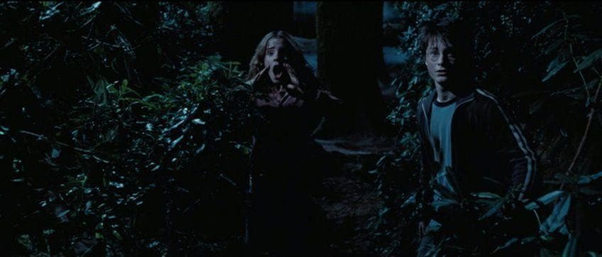 'Harry Potter' Fans Are Pointing Out Theories About Remus Lupin