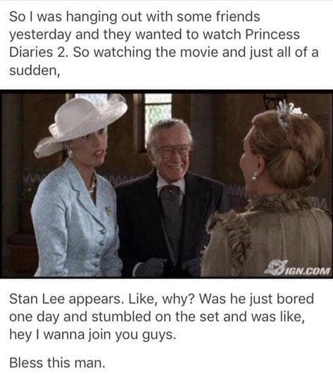 Fans Are Sharing Observations From 'The Princess Diaries' That Make All ...