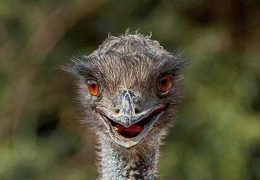 Local Urban Legends And Rumors That Ended Up Being True