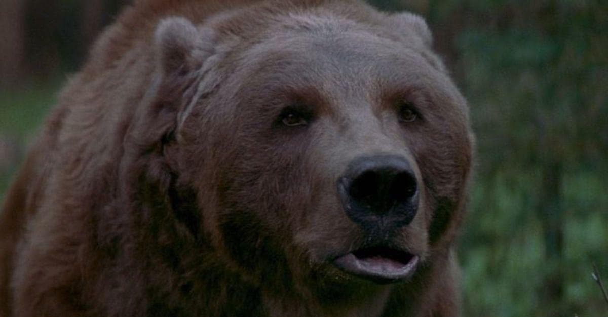 Actors Talk About Their Animal Costars