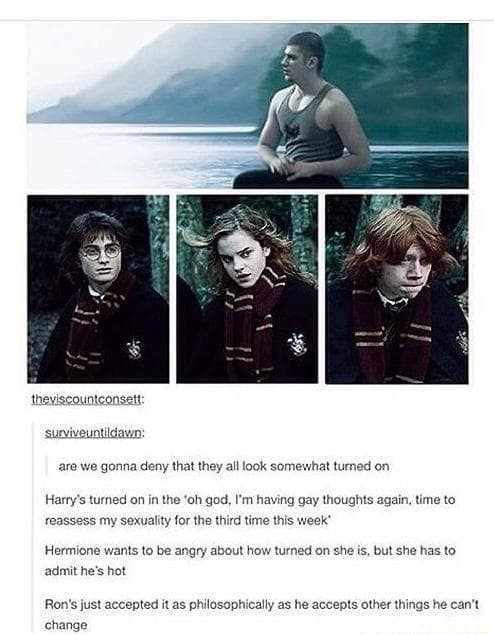 Fans Are Sharing Observations From 'Harry Potter' Than Make Them Say ...