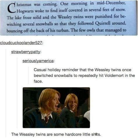 Fans Are Sharing Observations From 'Harry Potter' Than Make Them Say ...
