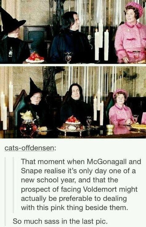 Fans Are Sharing Observations From 'Harry Potter' Than Make Them Say ...