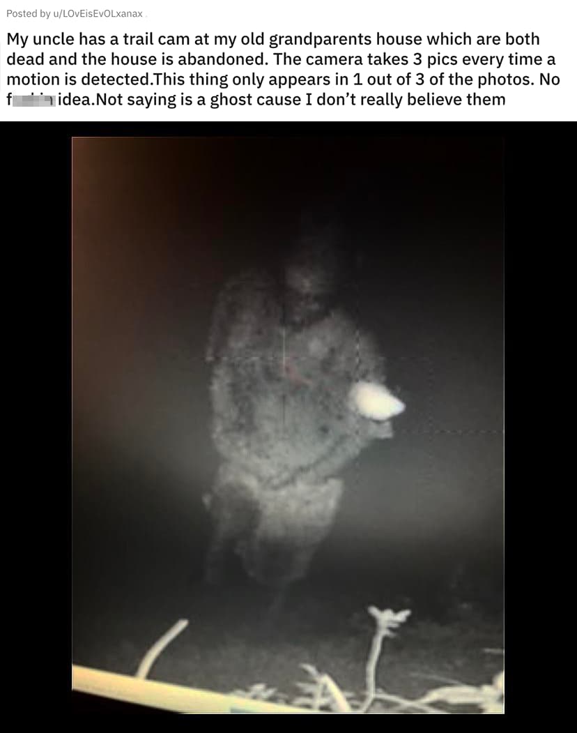 Terrifying Pictures From Trail Cameras That Will Send Shivers Down Your ...