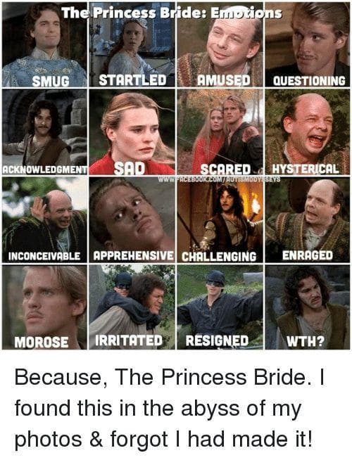 Fans Are Sharing Their 'Princess Bride' Observations That Make Us Want ...